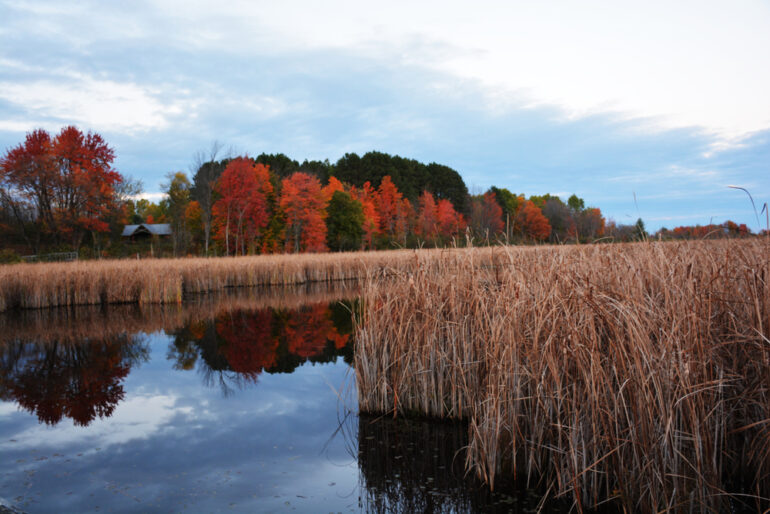 Hike the Ottawa Greenbelt - Cottage Life