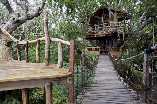 Unbelievable tree houses around the globe - Cottage Life