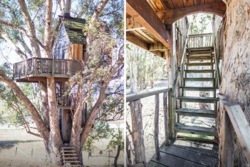 Take a trip through time in this 1970s California tree house - Cottage Life