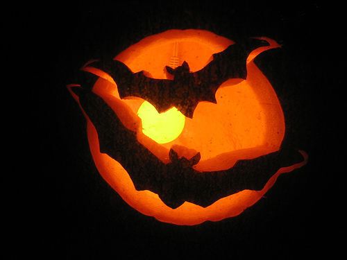 11 Creative Pumpkins Carved To Look Like Wildlife Cottage Life