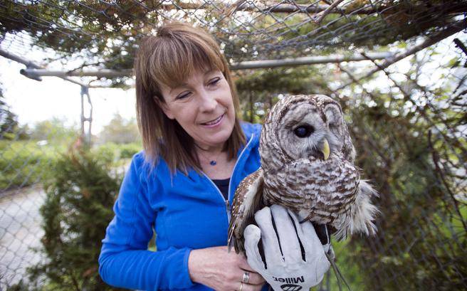 A day-in-the-life of a Canadian wildlife rehabilitator - Cottage Life