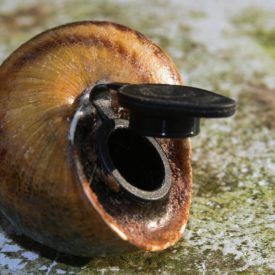 The 10 coolest geocaches ever - Cottage Life