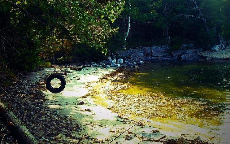 13 rope swings that will make you want to plunge into a lake - Cottage Life