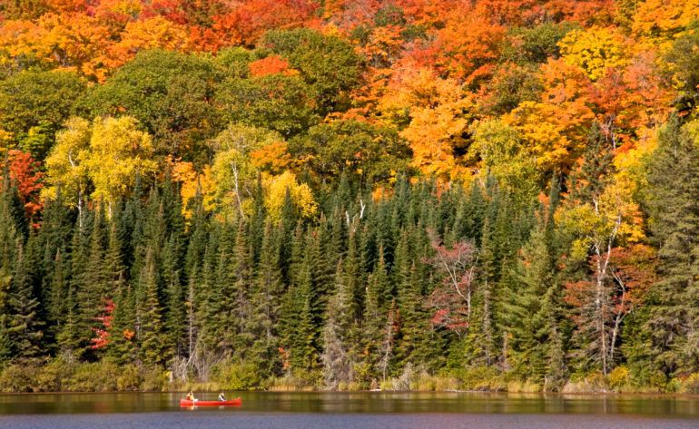 Why Canada has the best autumn in the world - Cottage Life