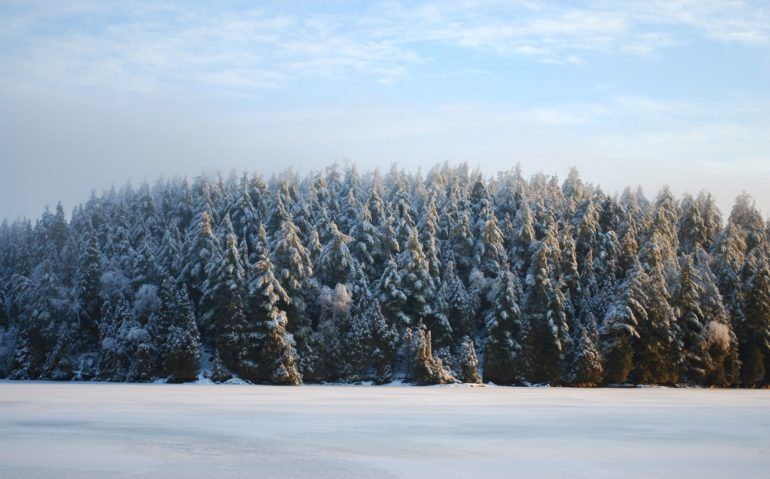25 scenes that prove winter cottaging is the best - Cottage Life