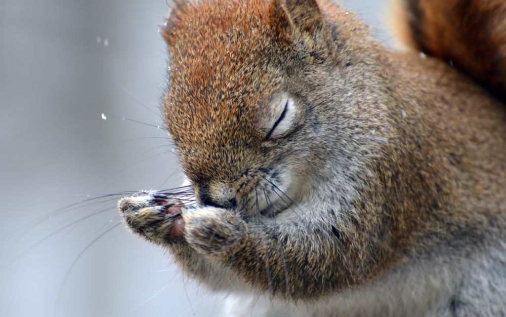 25 scenes that prove winter cottaging is the best - Cottage Life