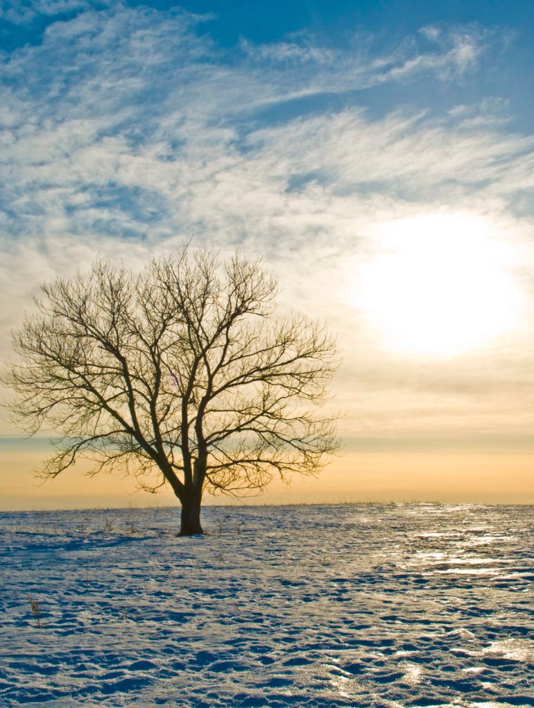 25 scenes that prove winter cottaging is the best - Cottage Life