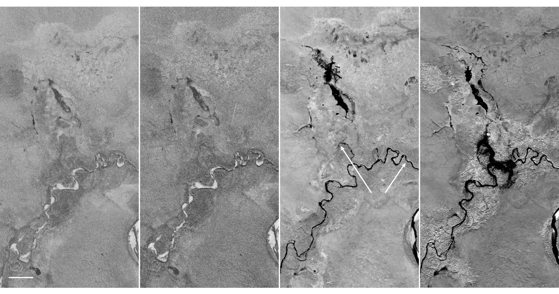 Beavers may be making the effects of climate change worse - Cottage Life