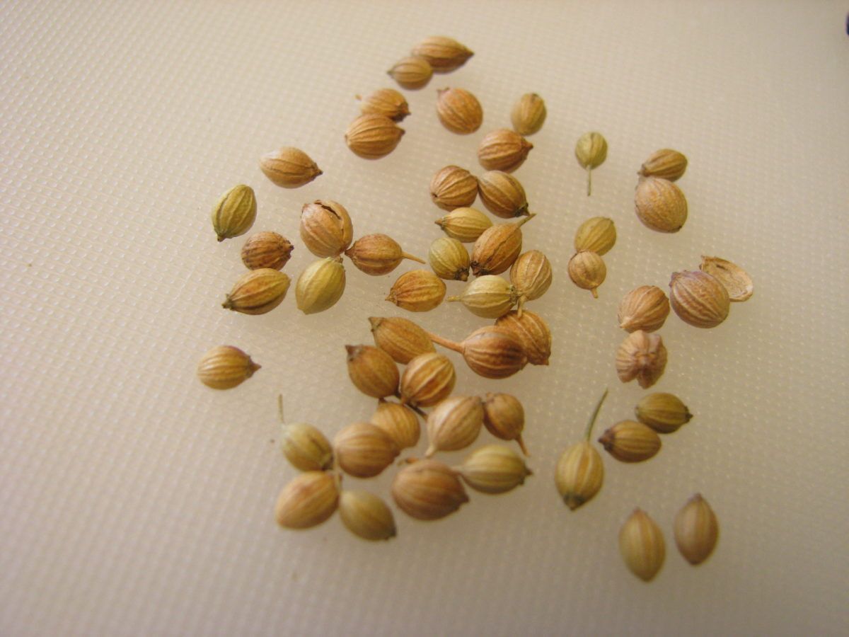 How to extract the most flavour from your spices - Cottage Life