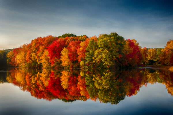How to capture fall's vibrant colours on camera - Cottage Life
