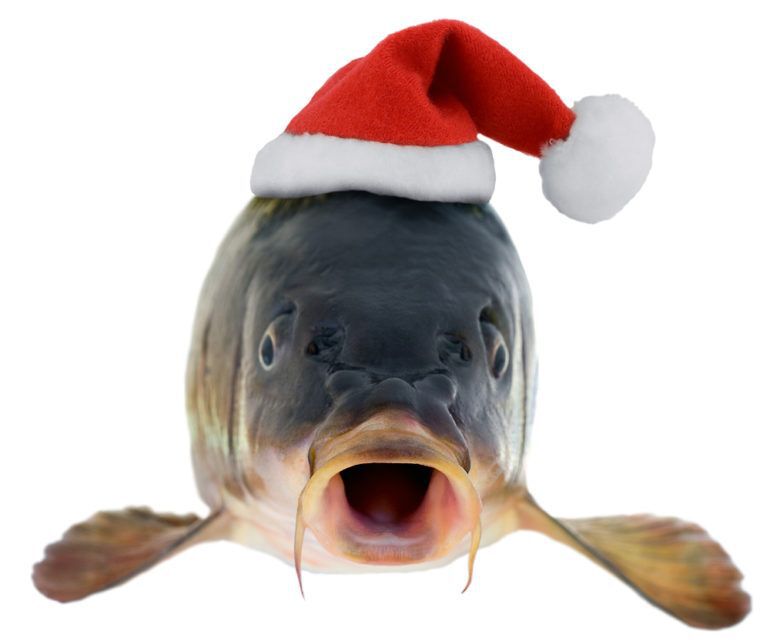 25 Days of Fishmas celebrates aquatic diversity of the Great Lakes ...