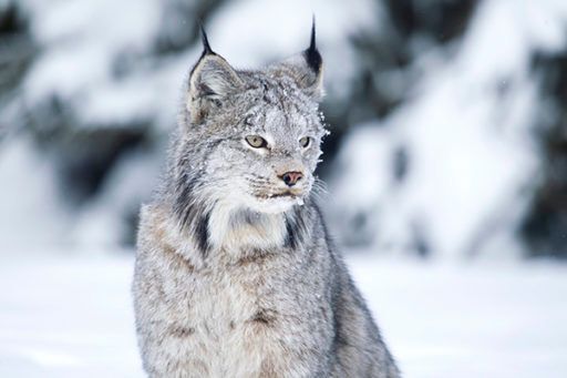 Photos that will have you itching for the weekend - Cottage Life