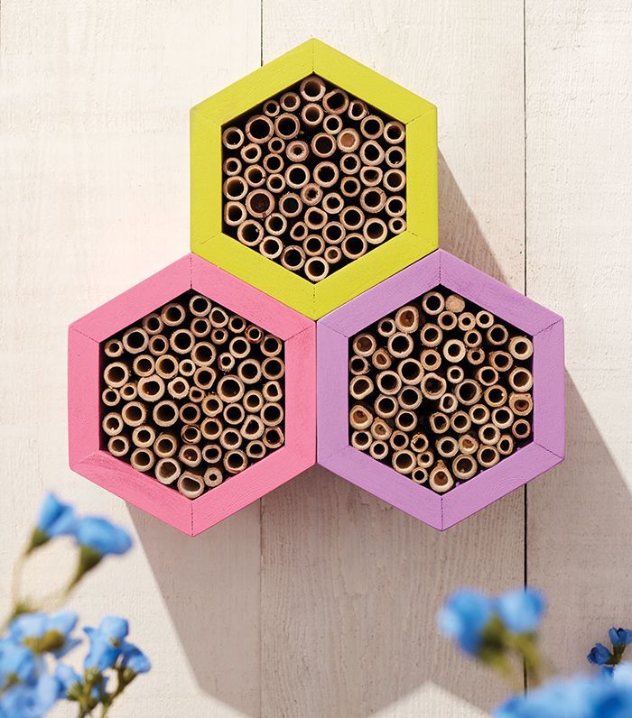 Bee Box - Cottage Life