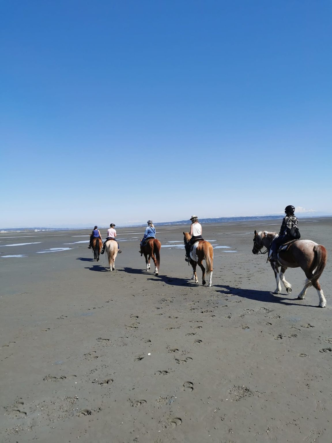 10 horseback riding adventures in Western Canada to channel your inner ...