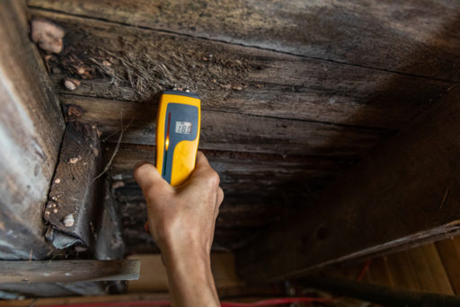 8 tips to DIY a cottage inspection - Cottage Life