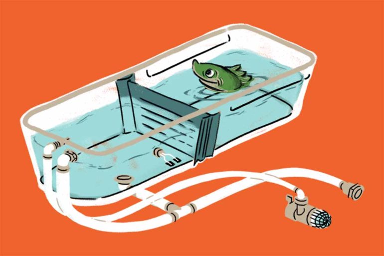 Let's talk livewells: what should you do with them?