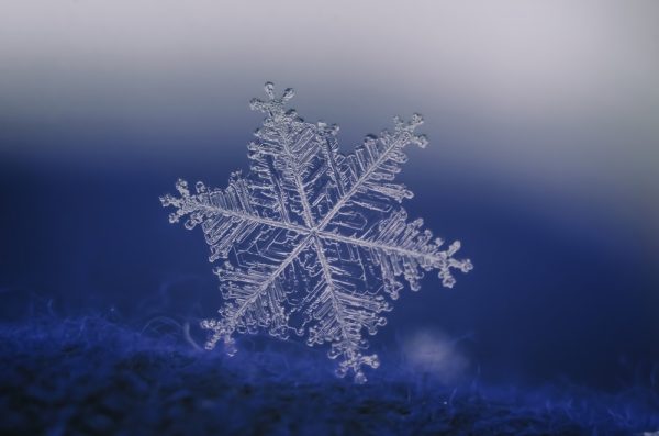 Is each snowflake really unique? The amazing science of snow - Cottage Life
