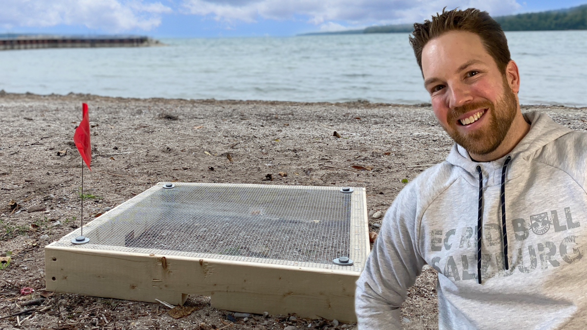 Give turtle hatchlings a better chance at survival with this DIY turtle ...