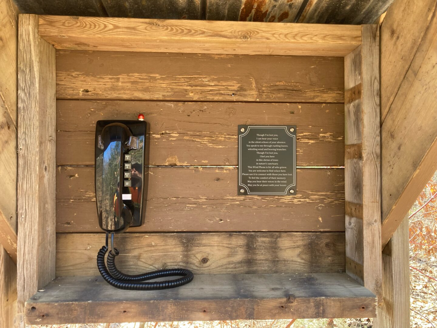 Southwestern Ontario park installs wind phone to help those who are ...