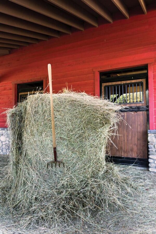 These Alberta cottagers built a cabin-barn they share with their horses ...